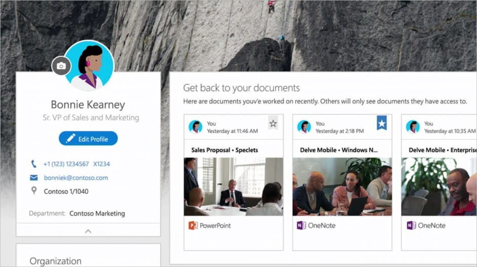 Step-by-Step: How to Add Fields to Your Delve Profile for Custom Links
